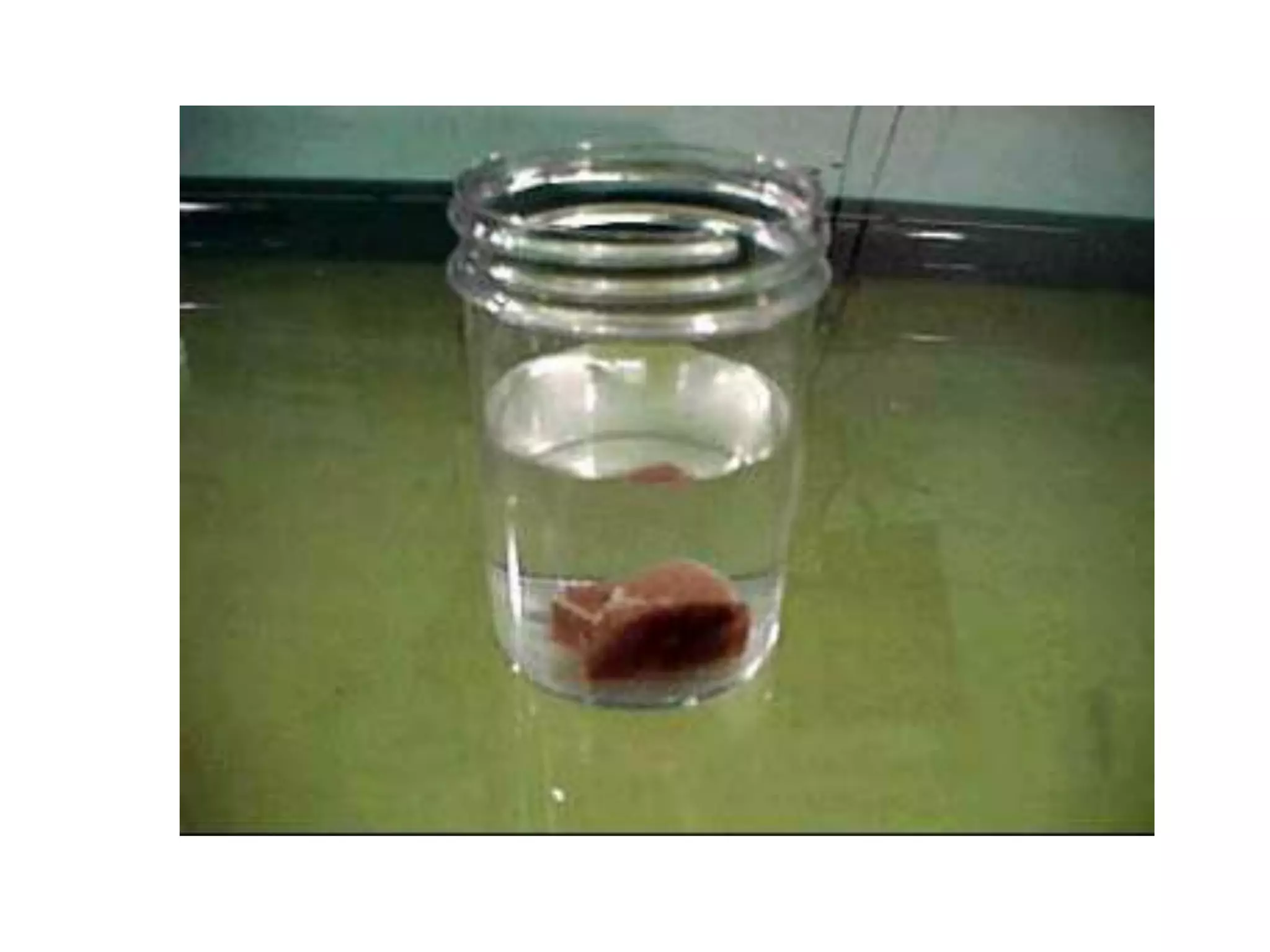 Histological Techniques: Section 1:Tissue collection and Grossing | PPTX