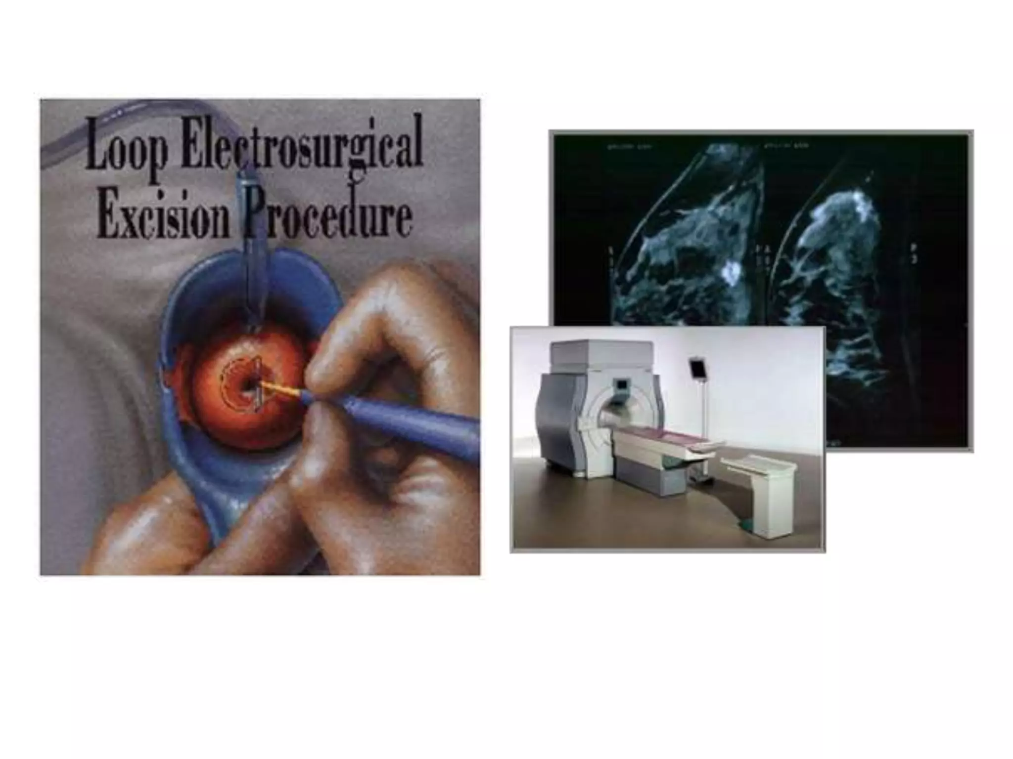 Histological Techniques: Section 1:Tissue collection and Grossing | PPTX