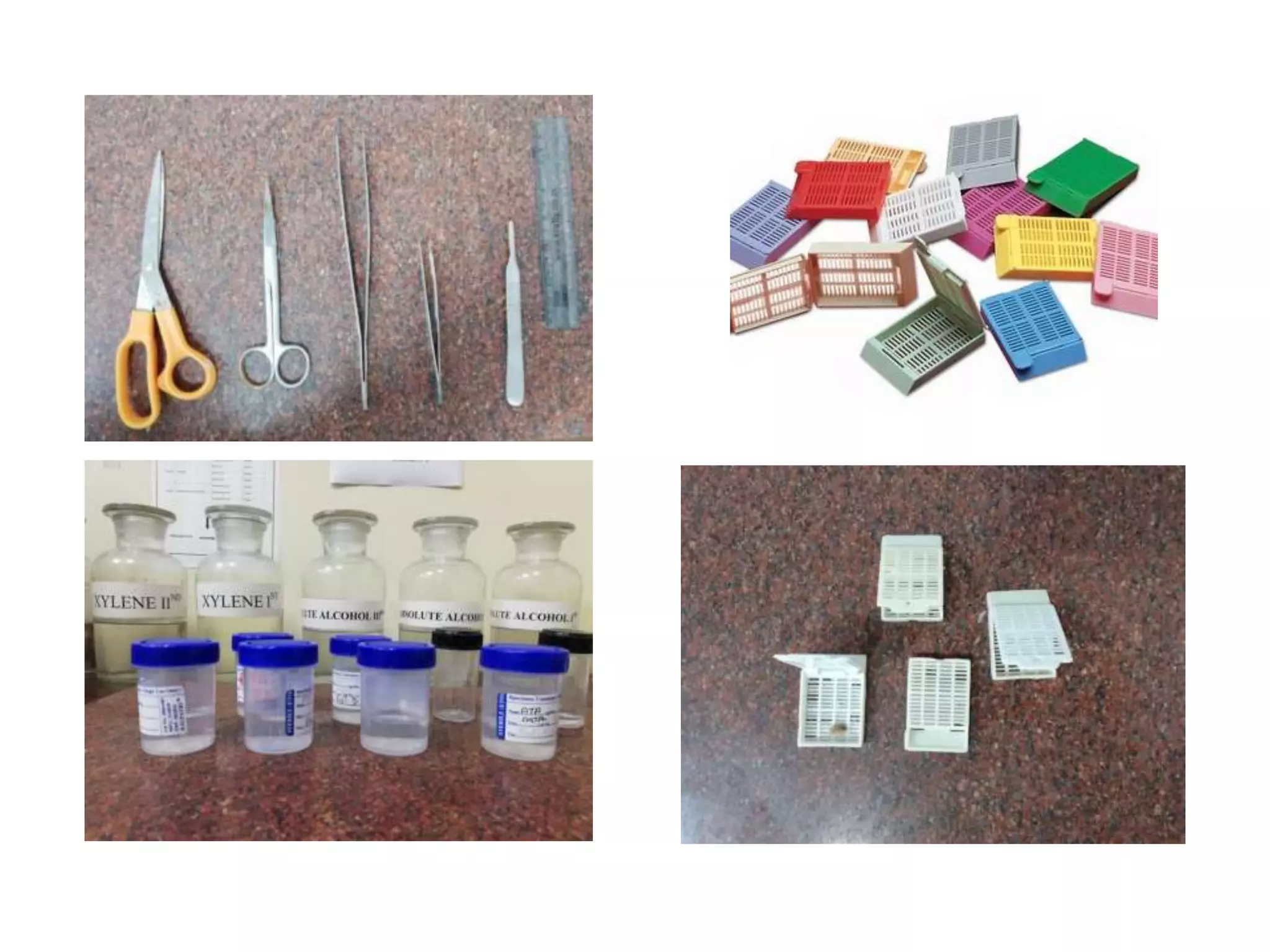 Histological Techniques: Section 1:Tissue collection and Grossing | PPTX