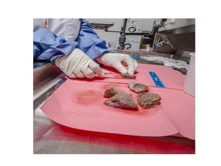 Histological Techniques: Section 1:Tissue collection and Grossing | PPTX