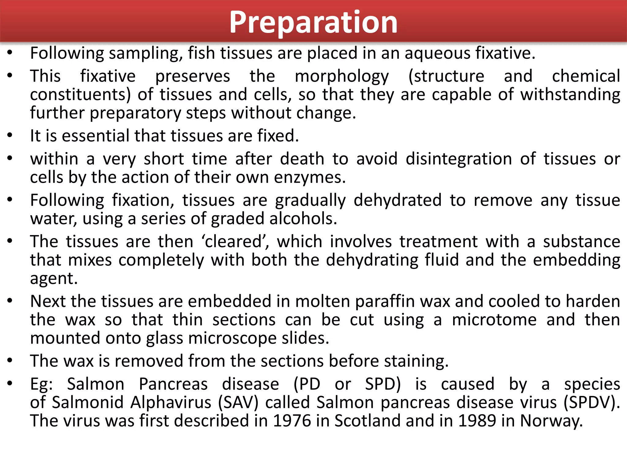 Histological techniques in fish disease diagnosis by B.pptx