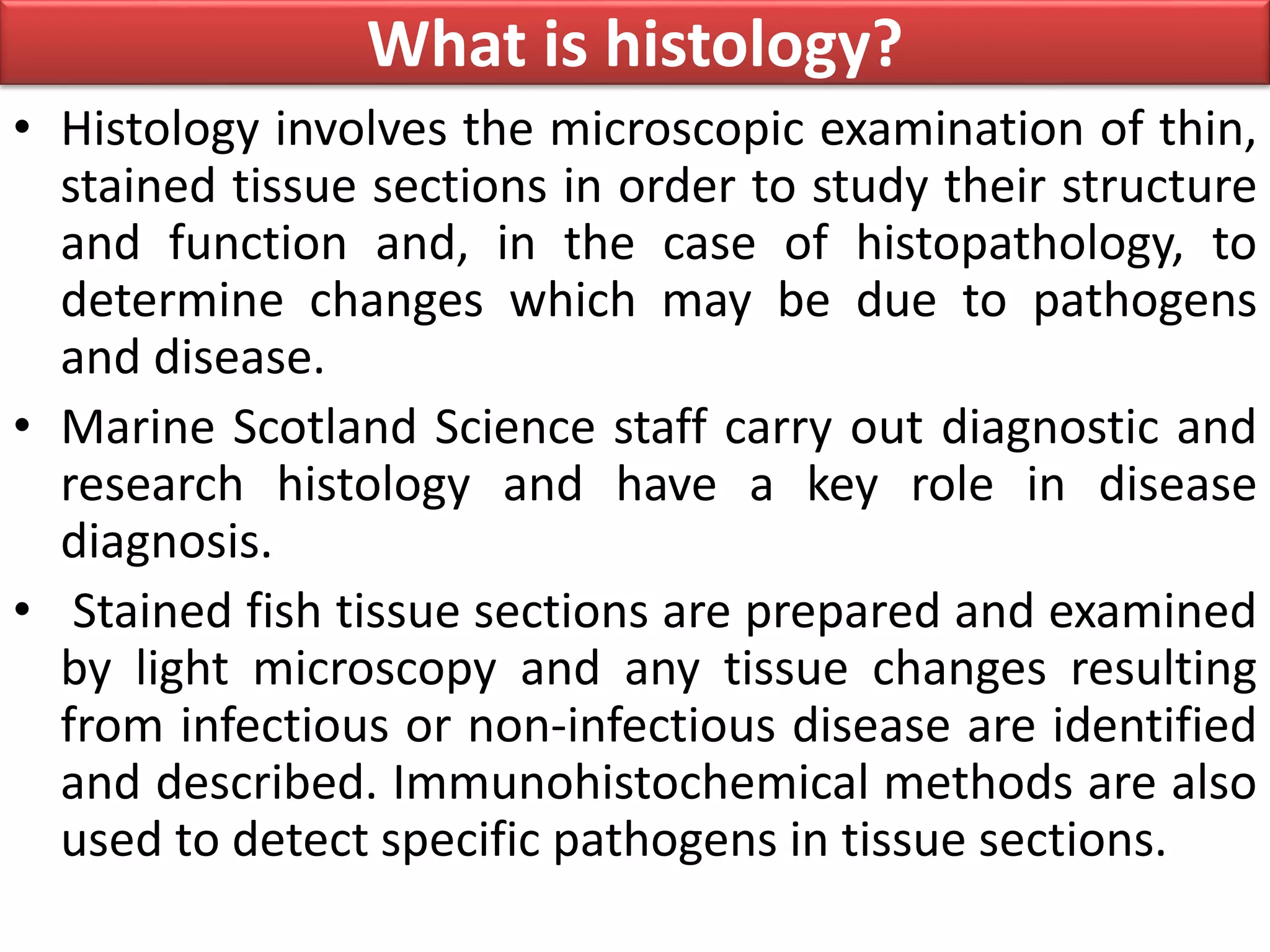 Histological techniques in fish disease diagnosis by B.pptx