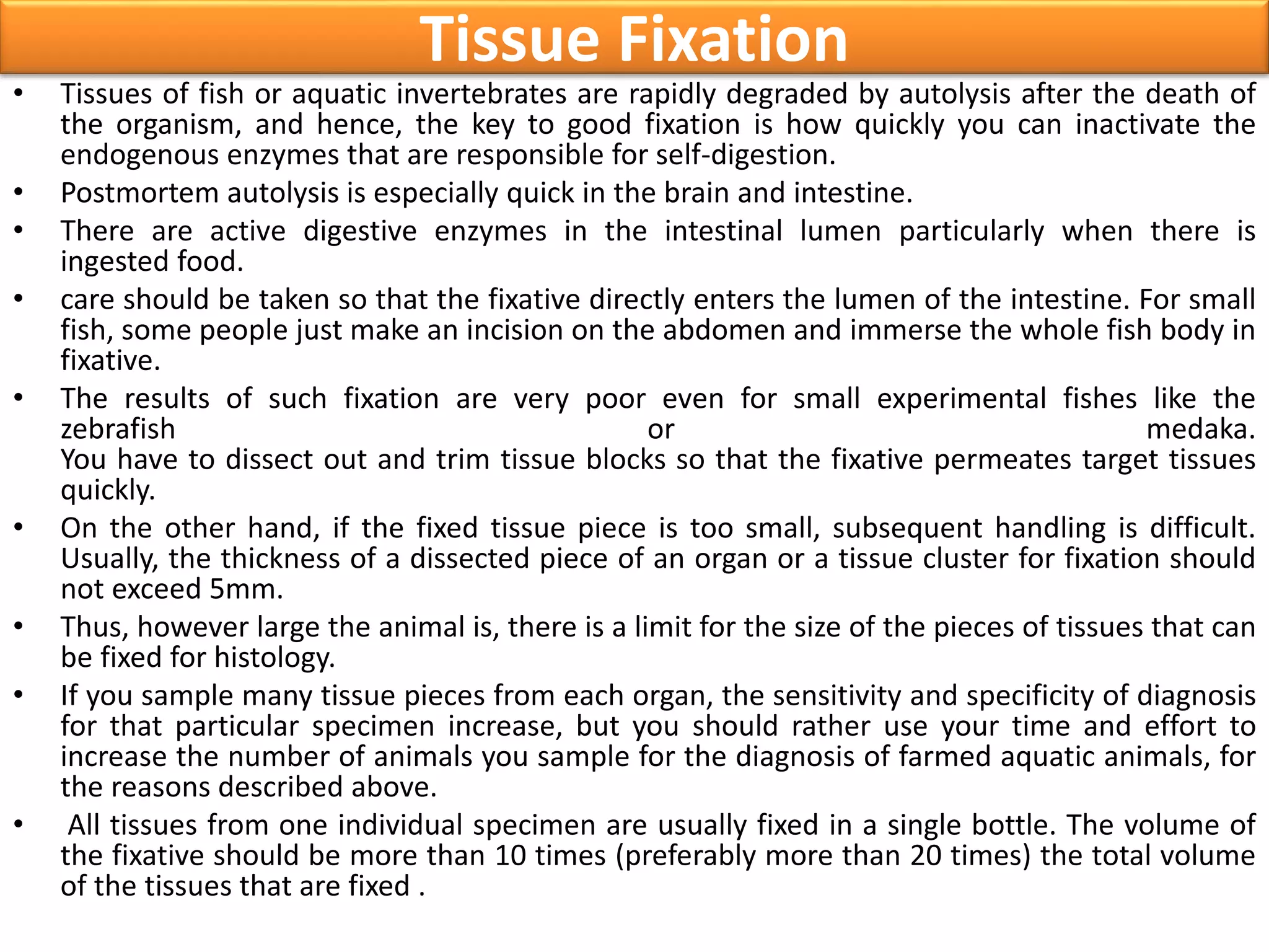 Histological techniques in fish disease diagnosis by B.pptx