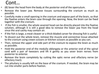 Histological techniques in fish disease diagnosis by B.pptx
