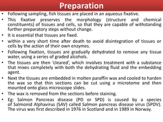 Histological techniques in fish disease diagnosis by B.pptx