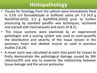 Histological techniques in fish disease diagnosis by B.pptx