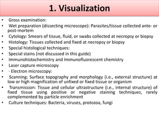 Histological techniques in fish disease diagnosis by B.pptx