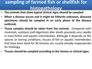 Histological techniques in fish disease diagnosis by B.pptx