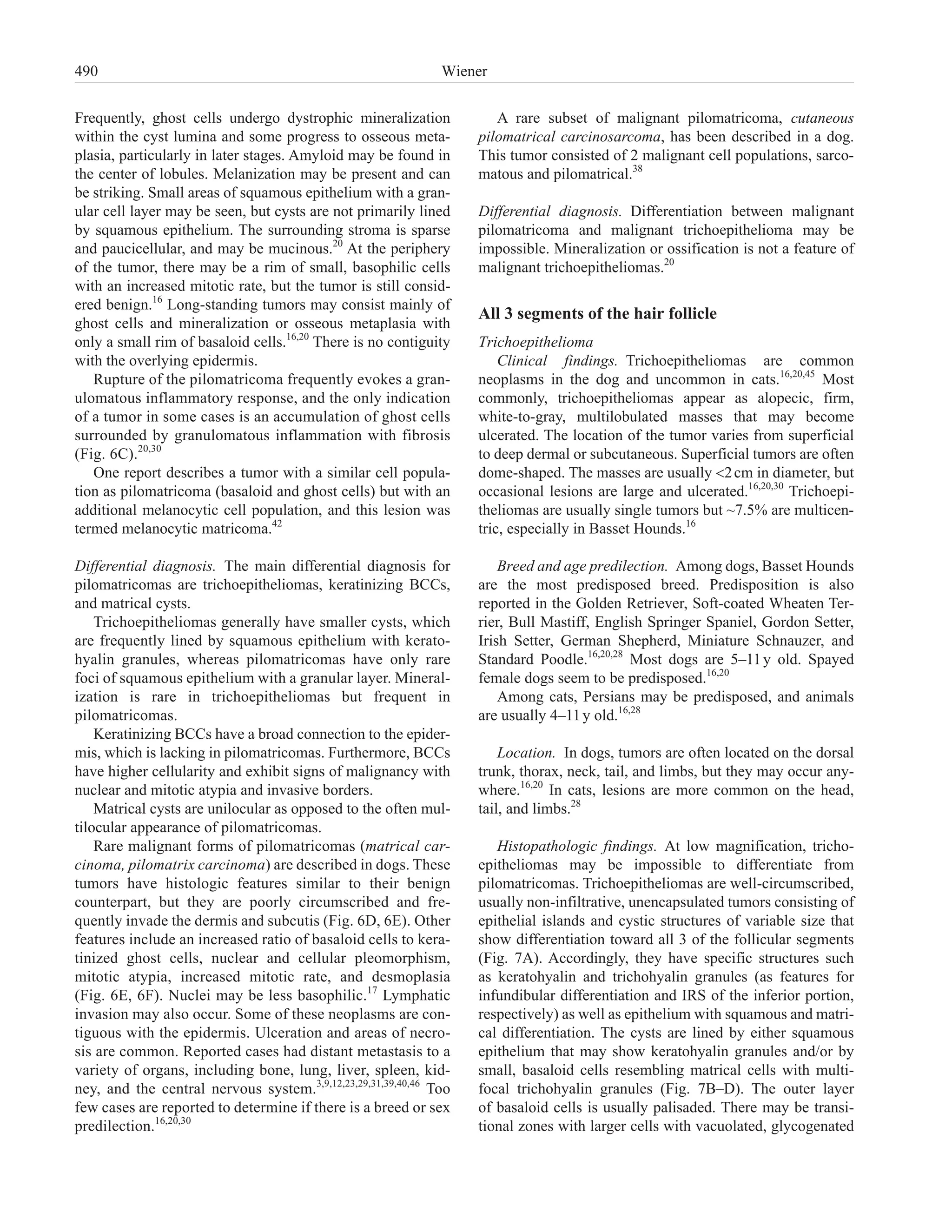 Histologic features of hair follicle neoplasms and cysts in dogs and ...