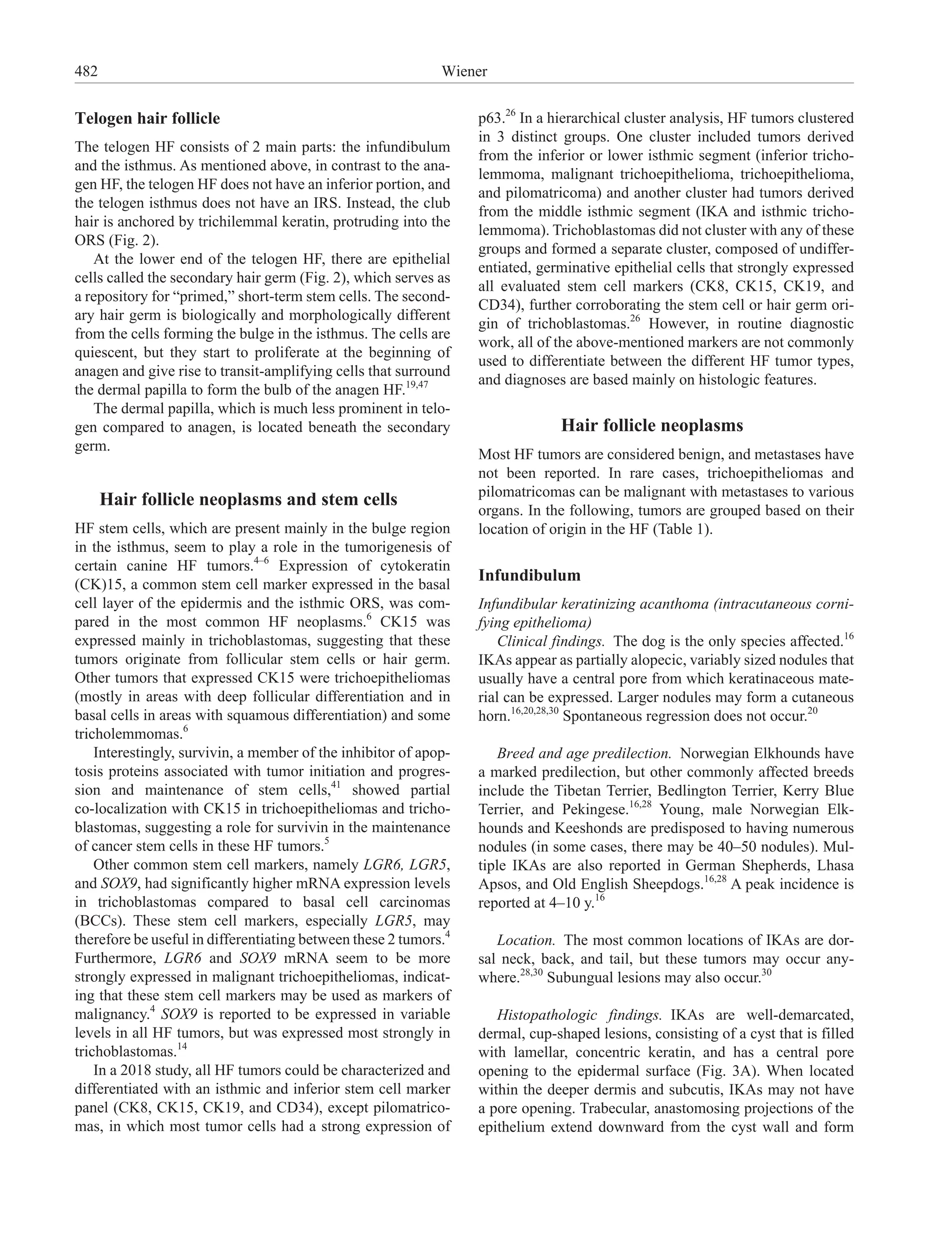 Histologic features of hair follicle neoplasms and cysts in dogs and ...