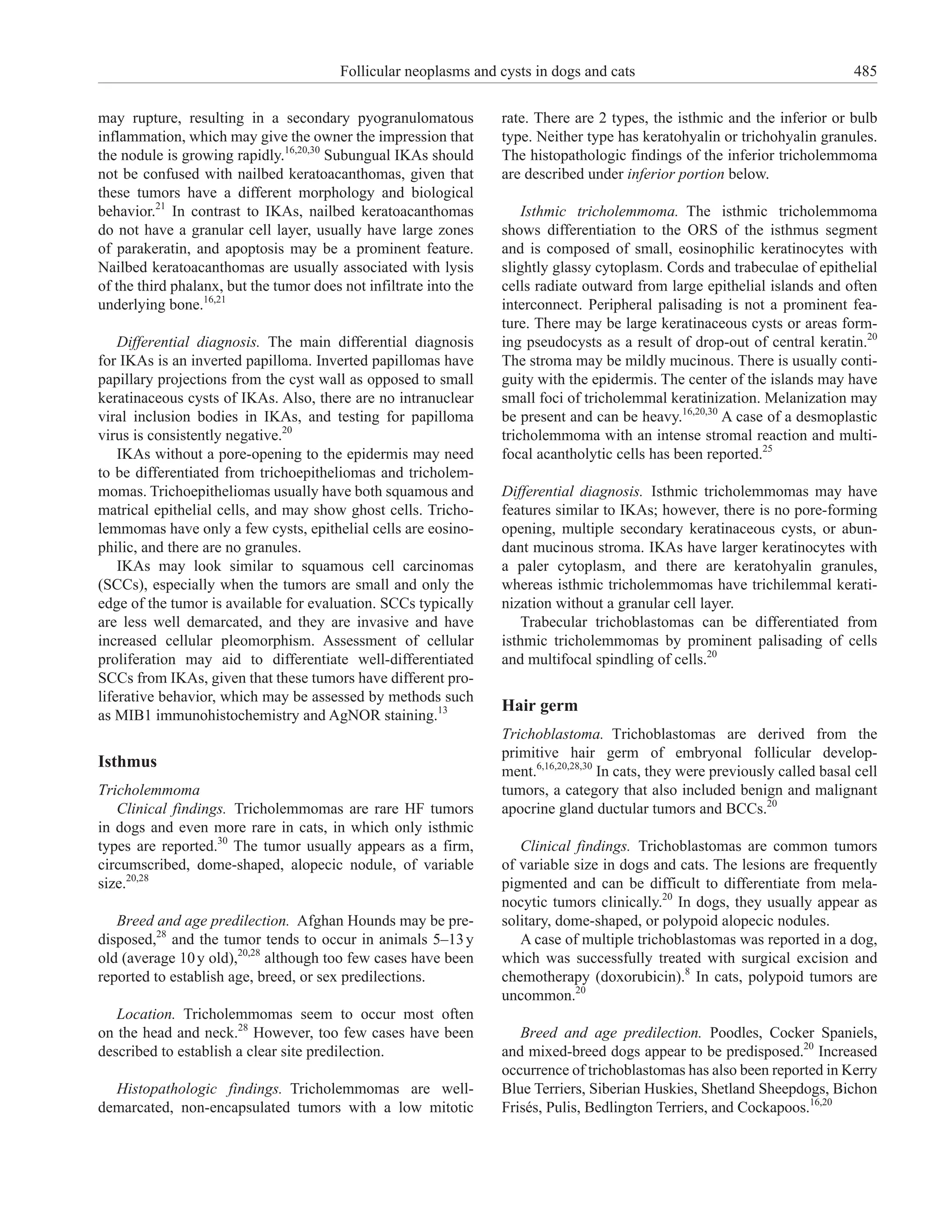 Histologic features of hair follicle neoplasms and cysts in dogs and ...