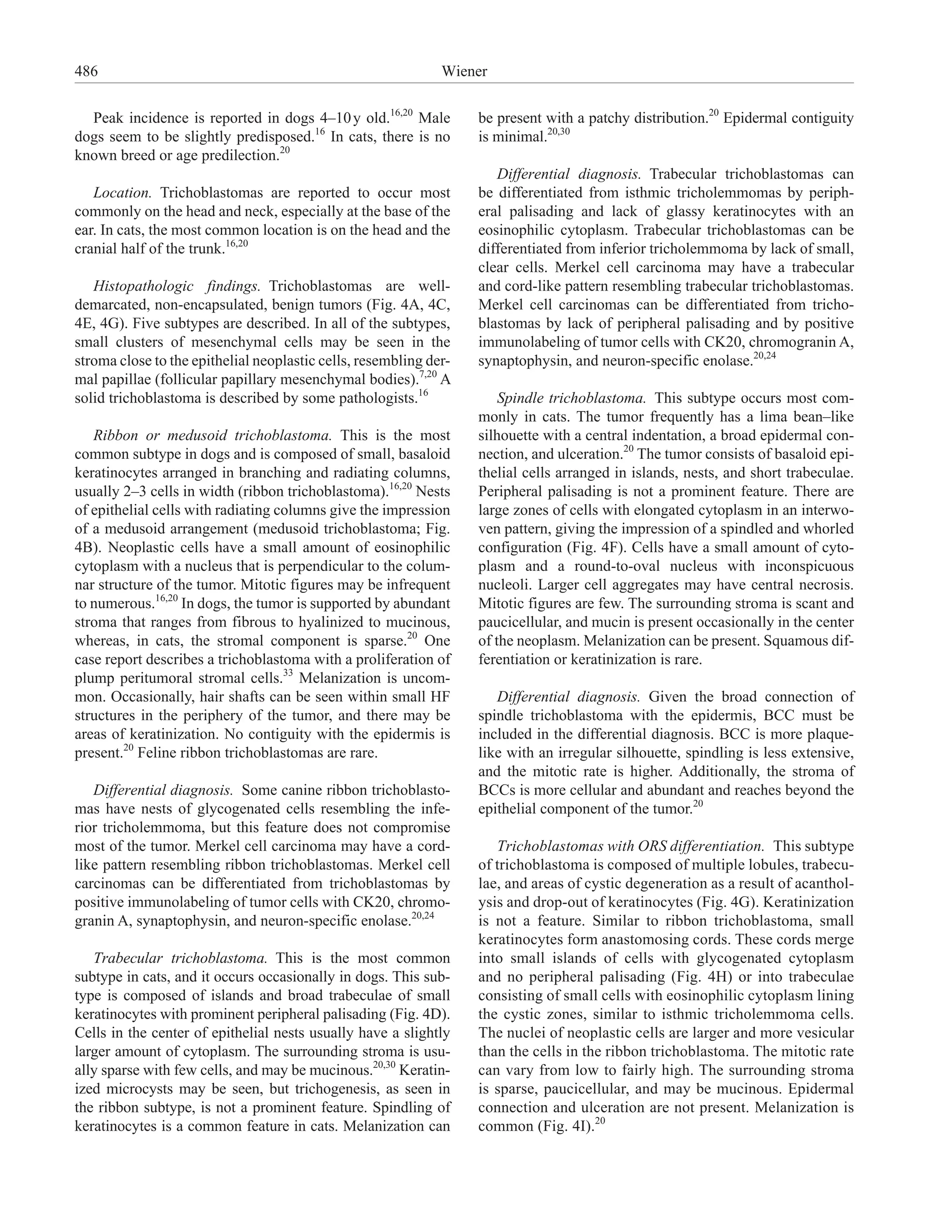 Histologic features of hair follicle neoplasms and cysts in dogs and ...