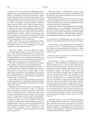 Histologic features of hair follicle neoplasms and cysts in dogs and ...