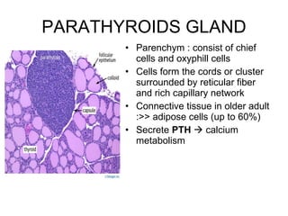 Histologic structure of endocrine system | PPT