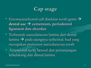 Histologi Gigi | PPT