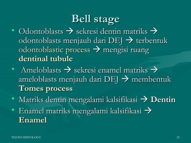 Histologi Gigi | PPT