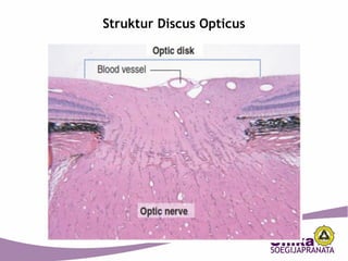 HISTOLOGI INDERA PENGLIHATAN Blok 2.2.pdf