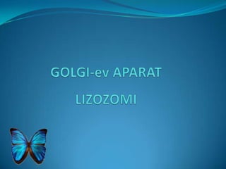 Histologija - Golgi i lizozomi | PPT