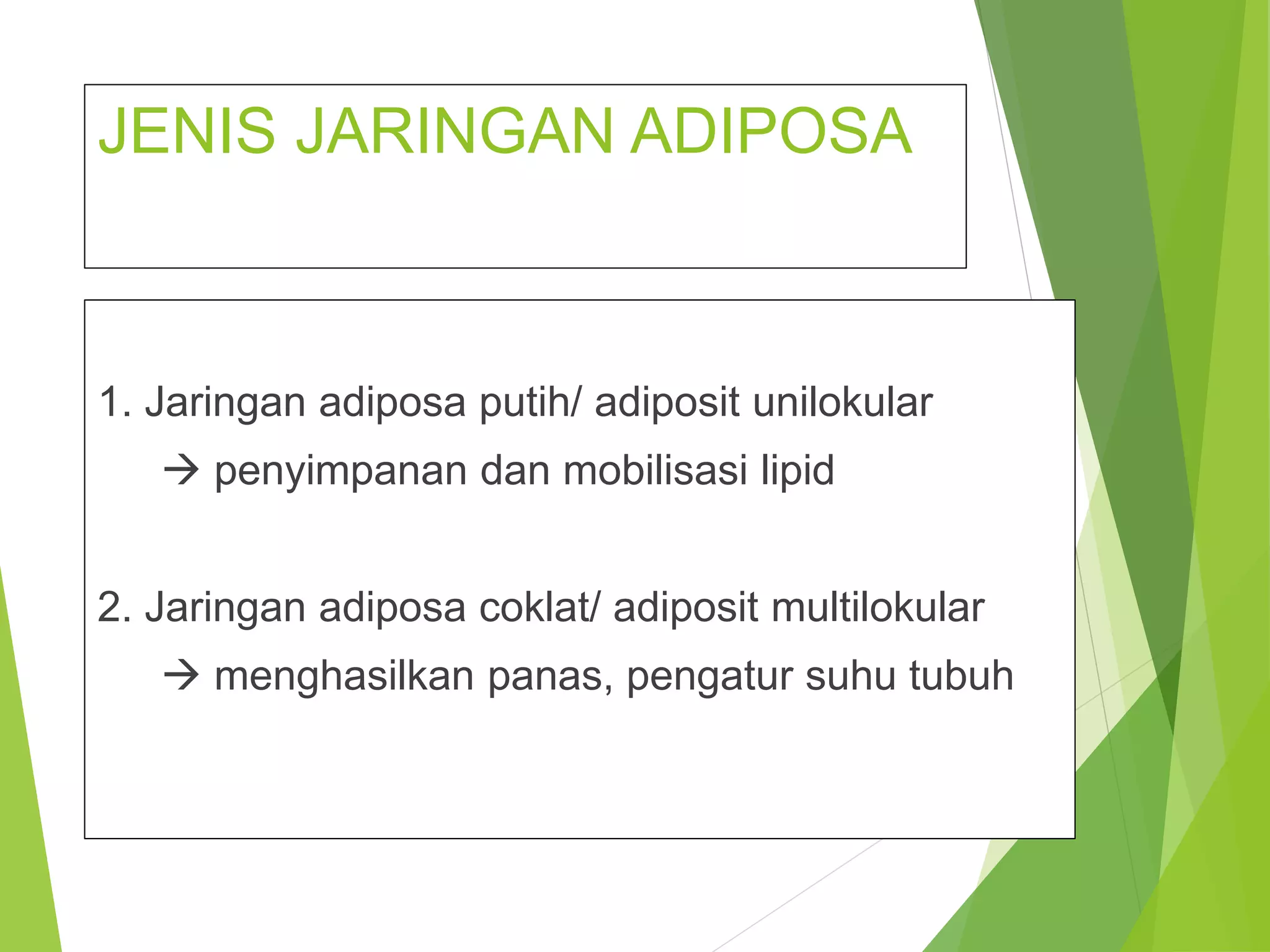 HISTOLOGI JARINGAN IKAT & JAR. ADIPOSA dr.Yayuk Suzena.pptx