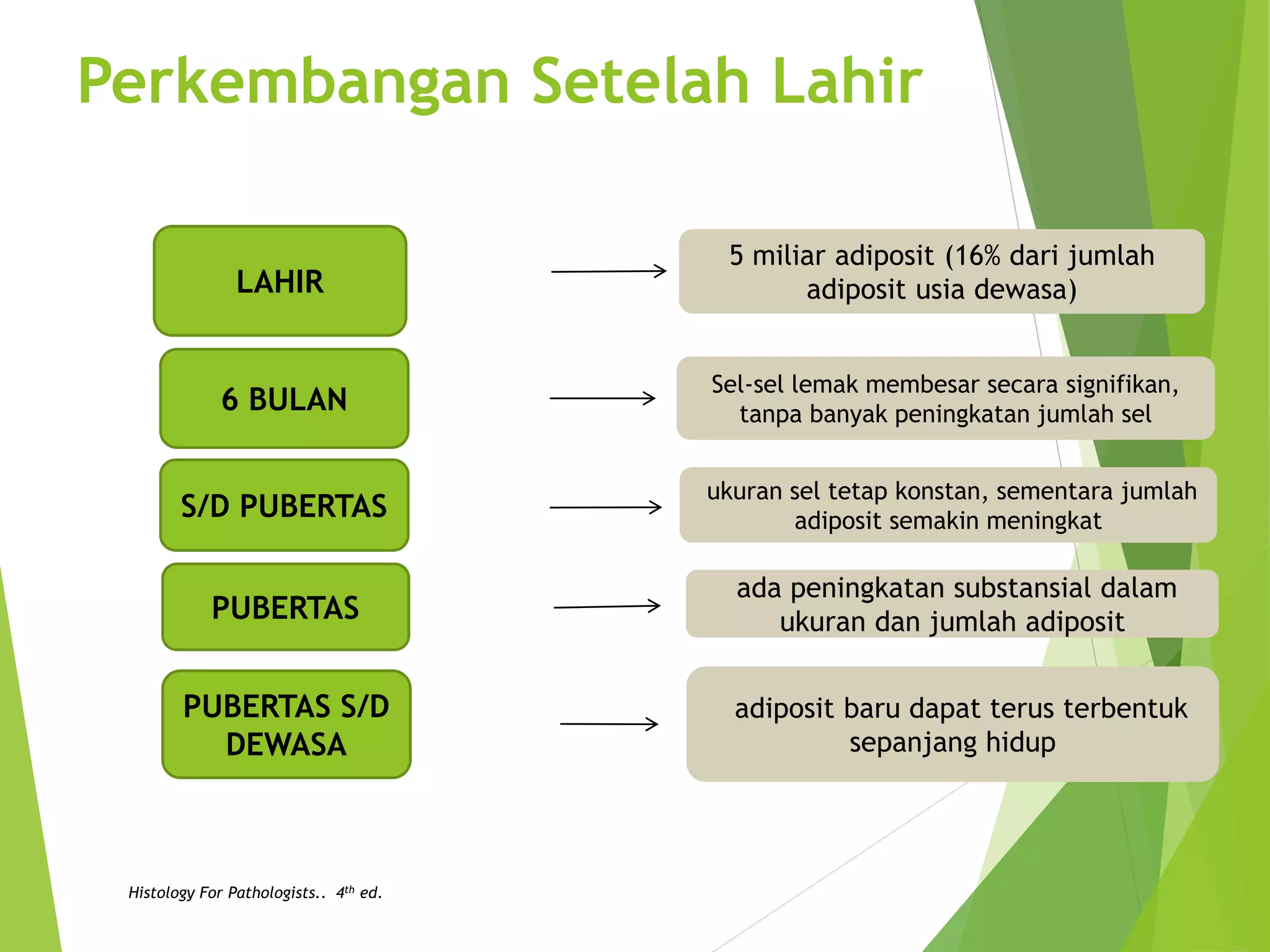 HISTOLOGI JARINGAN IKAT & JAR. ADIPOSA dr.Yayuk Suzena.pptx