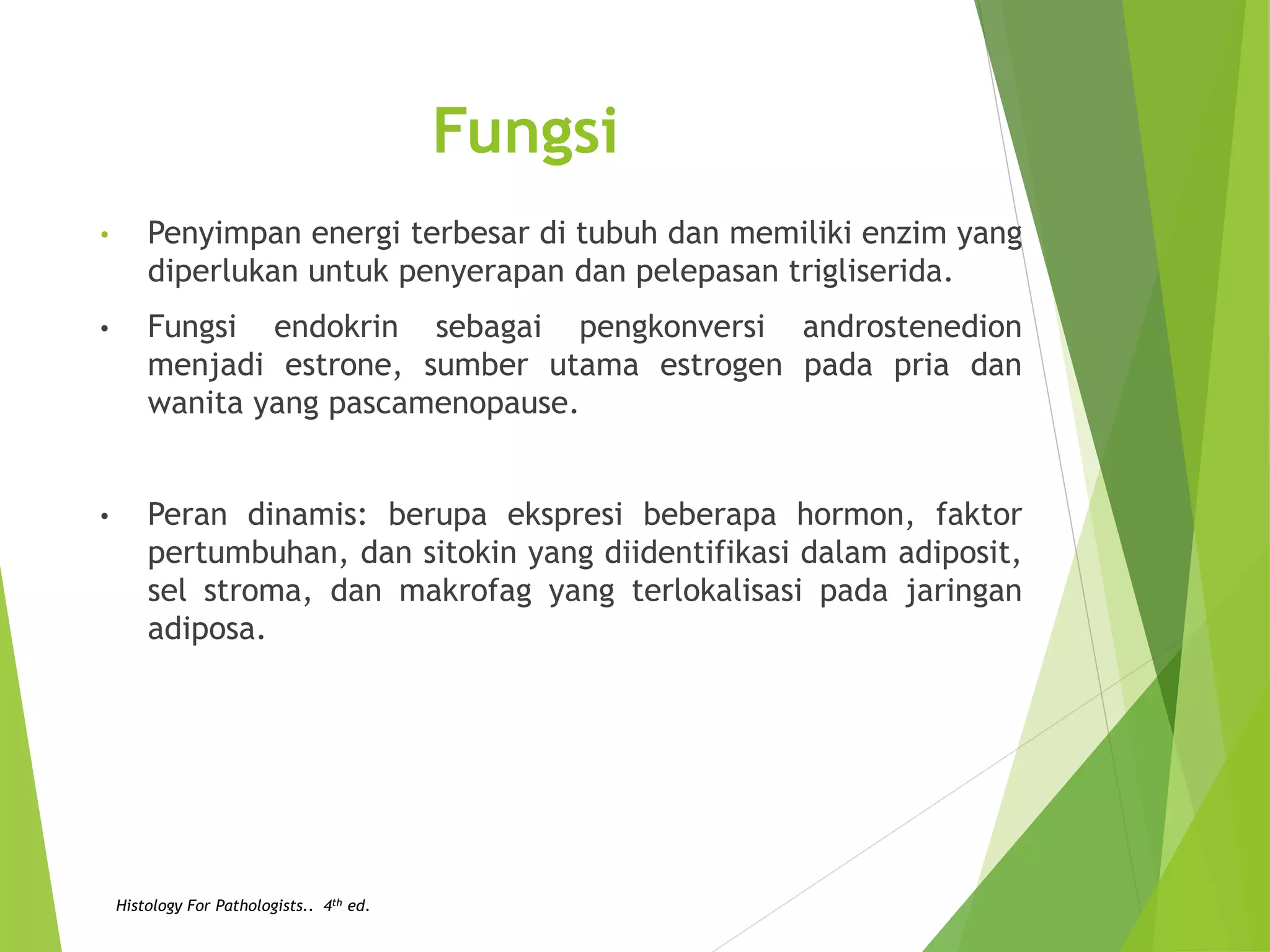 HISTOLOGI JARINGAN IKAT & JAR. ADIPOSA dr.Yayuk Suzena.pptx