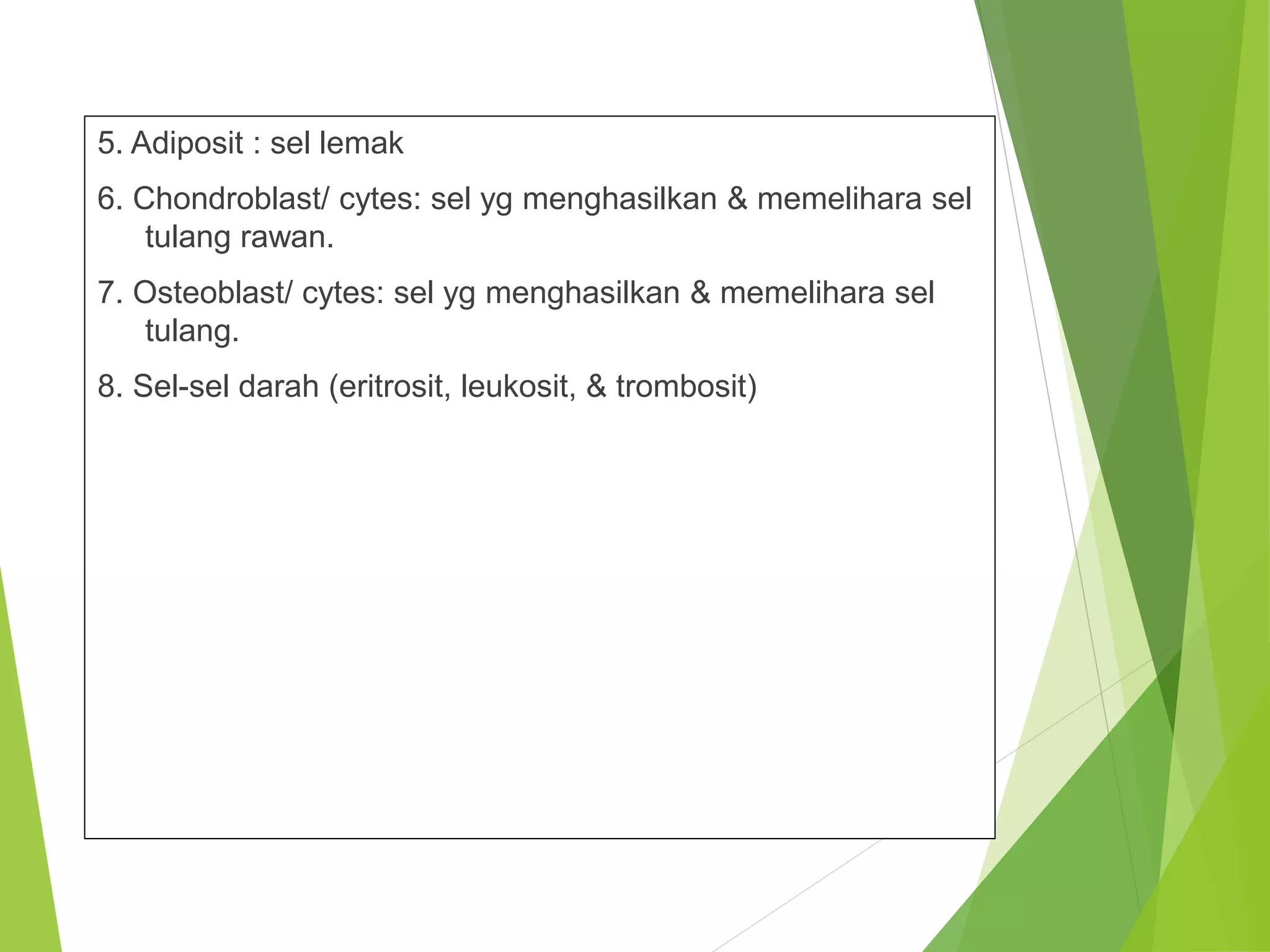 HISTOLOGI JARINGAN IKAT & JAR. ADIPOSA dr.Yayuk Suzena.pptx
