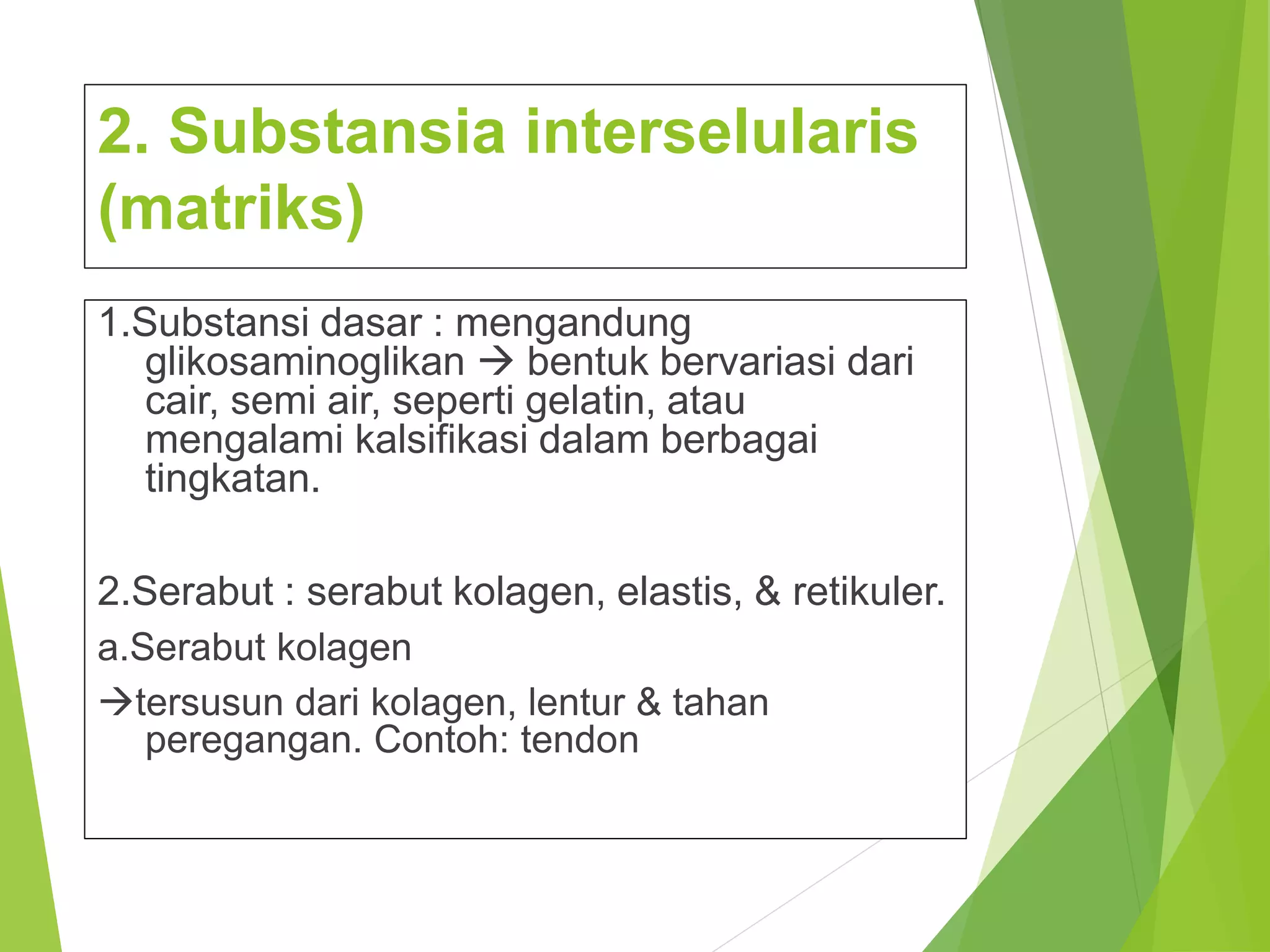 HISTOLOGI JARINGAN IKAT & JAR. ADIPOSA dr.Yayuk Suzena.pptx