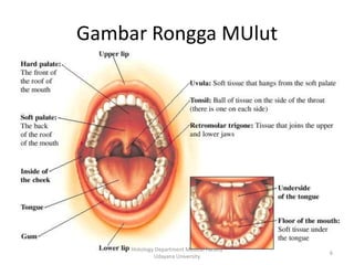 Struktur Histologi Rongga Mulut Oleh dr. I Wayan Sugiritama, M.Kes