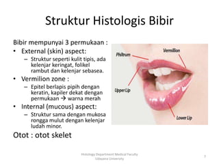 Struktur Histologi Rongga Mulut Oleh dr. I Wayan Sugiritama, M.Kes