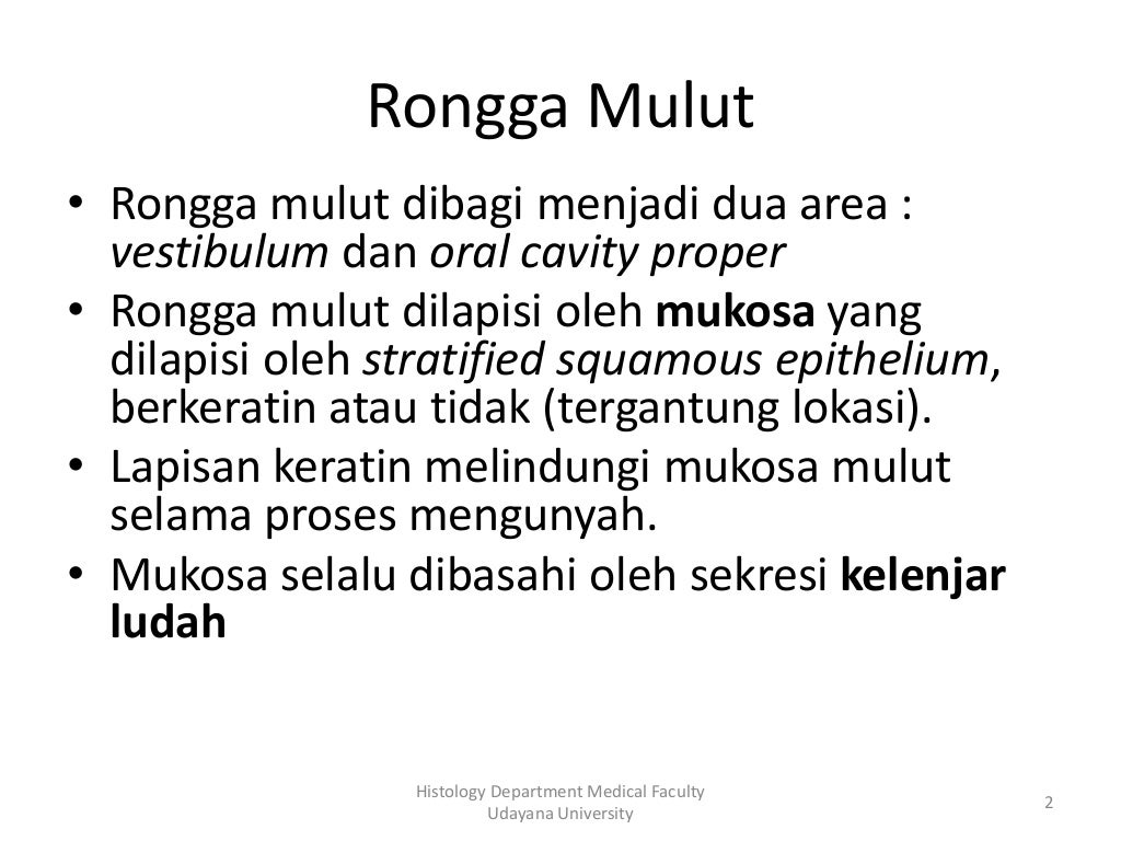 Struktur Histologi Rongga Mulut