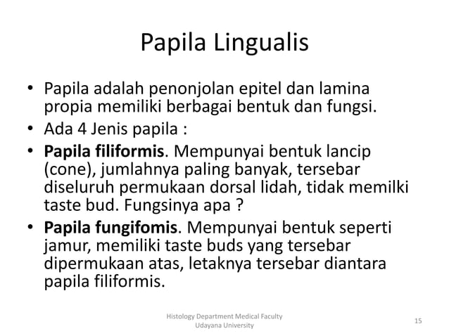 Histologi Rongga Mulut | PPSX