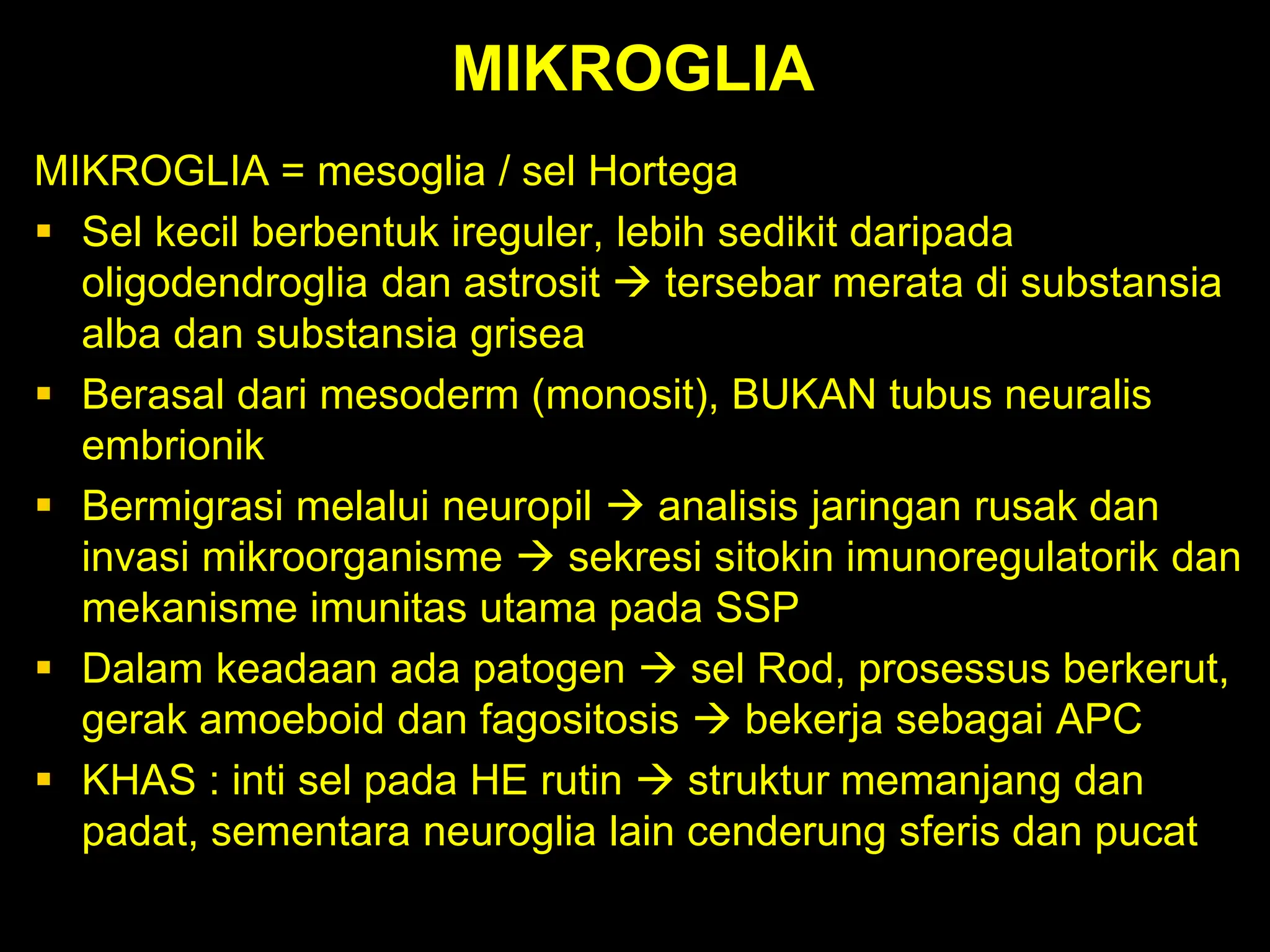 Histology of Nervous System for Preclinical Student Medical Faculty | PPTX