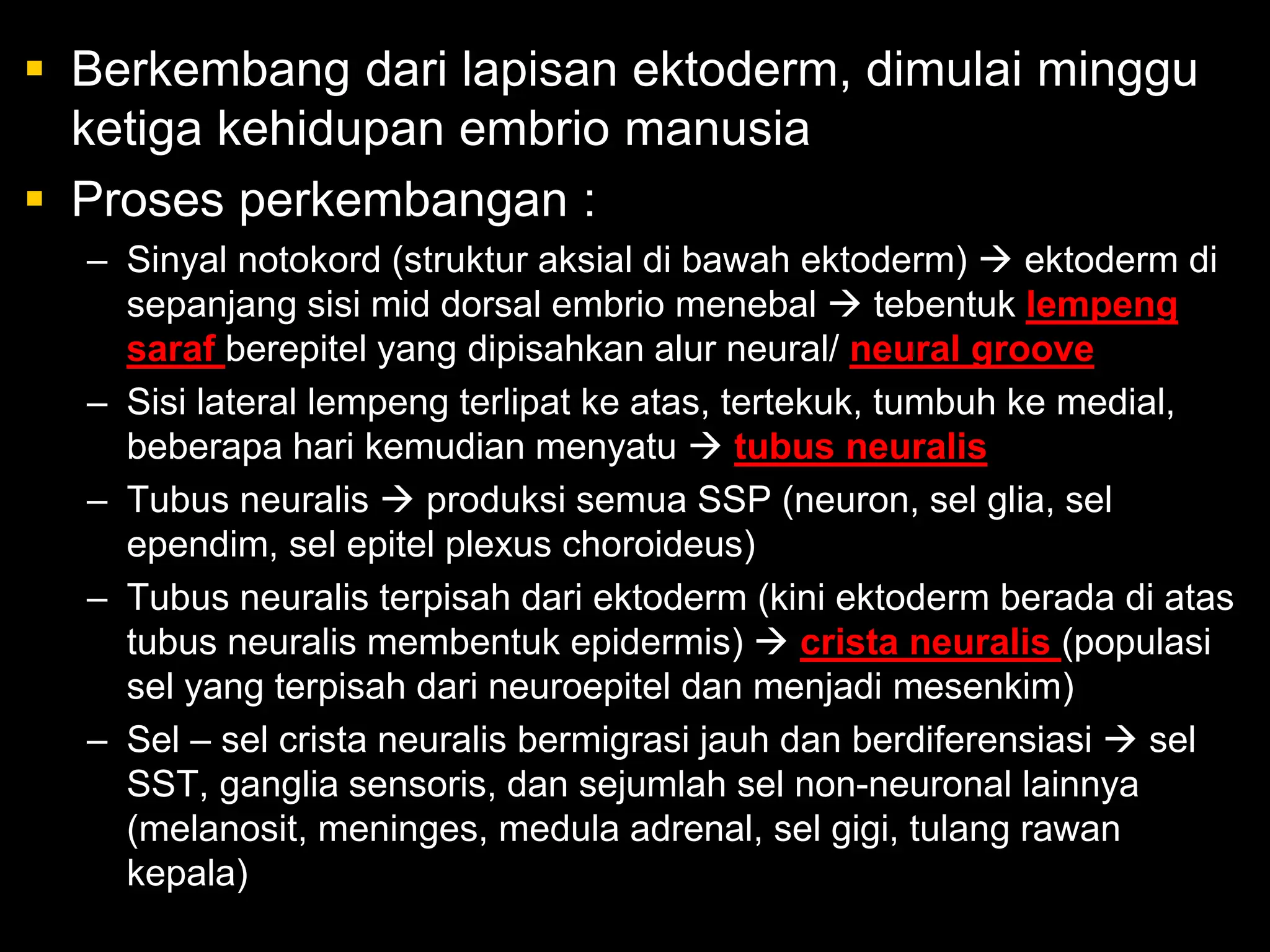 Histology of Nervous System for Preclinical Student Medical Faculty | PPTX