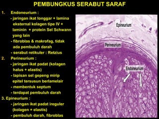 Histology of Nervous System for Preclinical Student Medical Faculty | PPTX