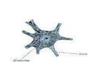 Histologi sel | PPTX