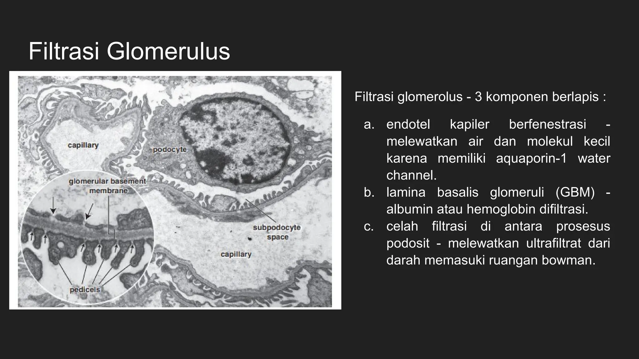 Histologi Sistem Urinaria (1).pptxHistologi Sistem Urinaria (1 ...