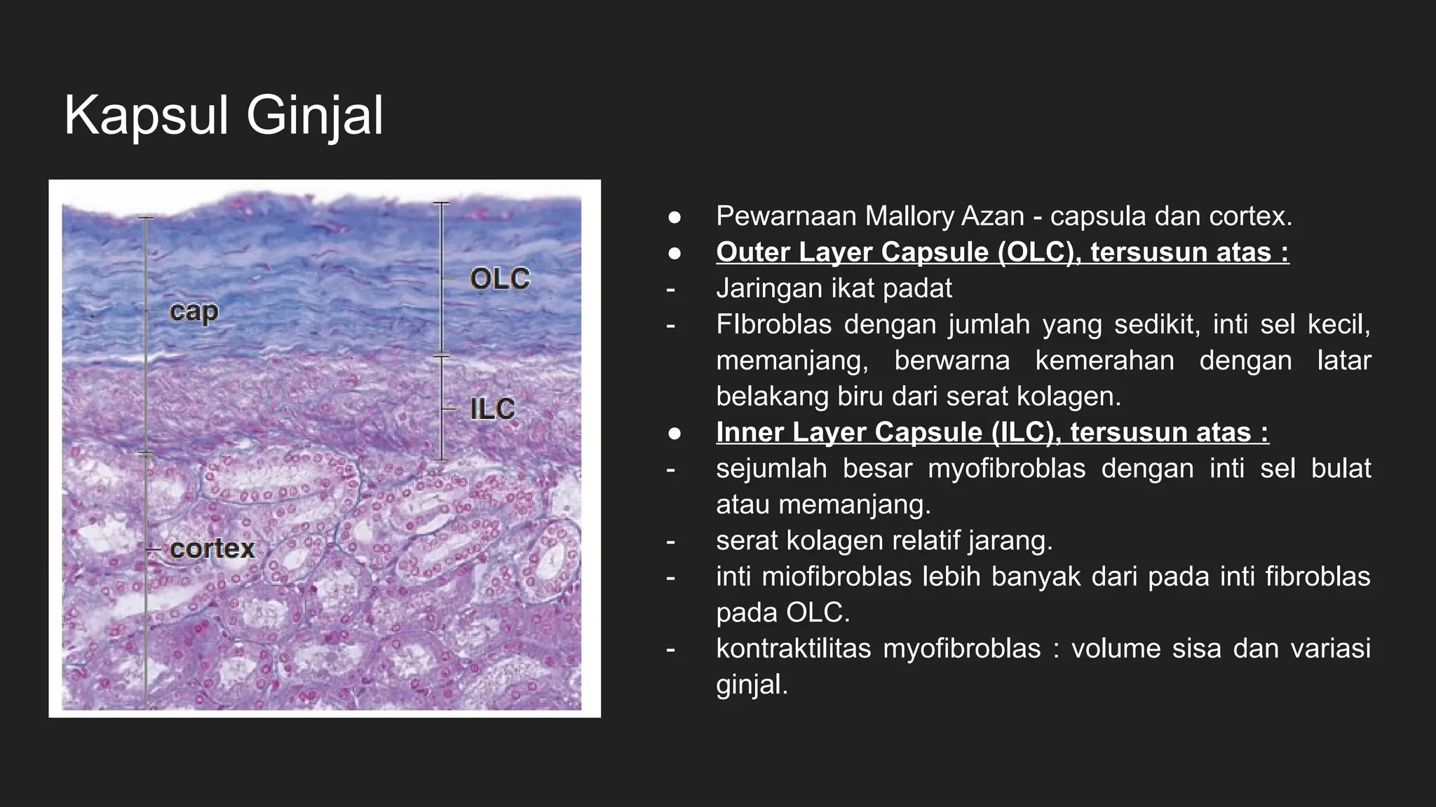 Histologi Sistem Urinaria (1).pptxHistologi Sistem Urinaria (1 ...