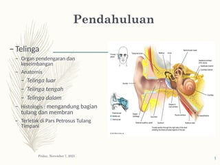 Histologi organ sensoris telinga hidung.ppt