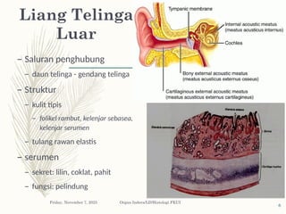 Histologi organ sensoris telinga hidung.ppt