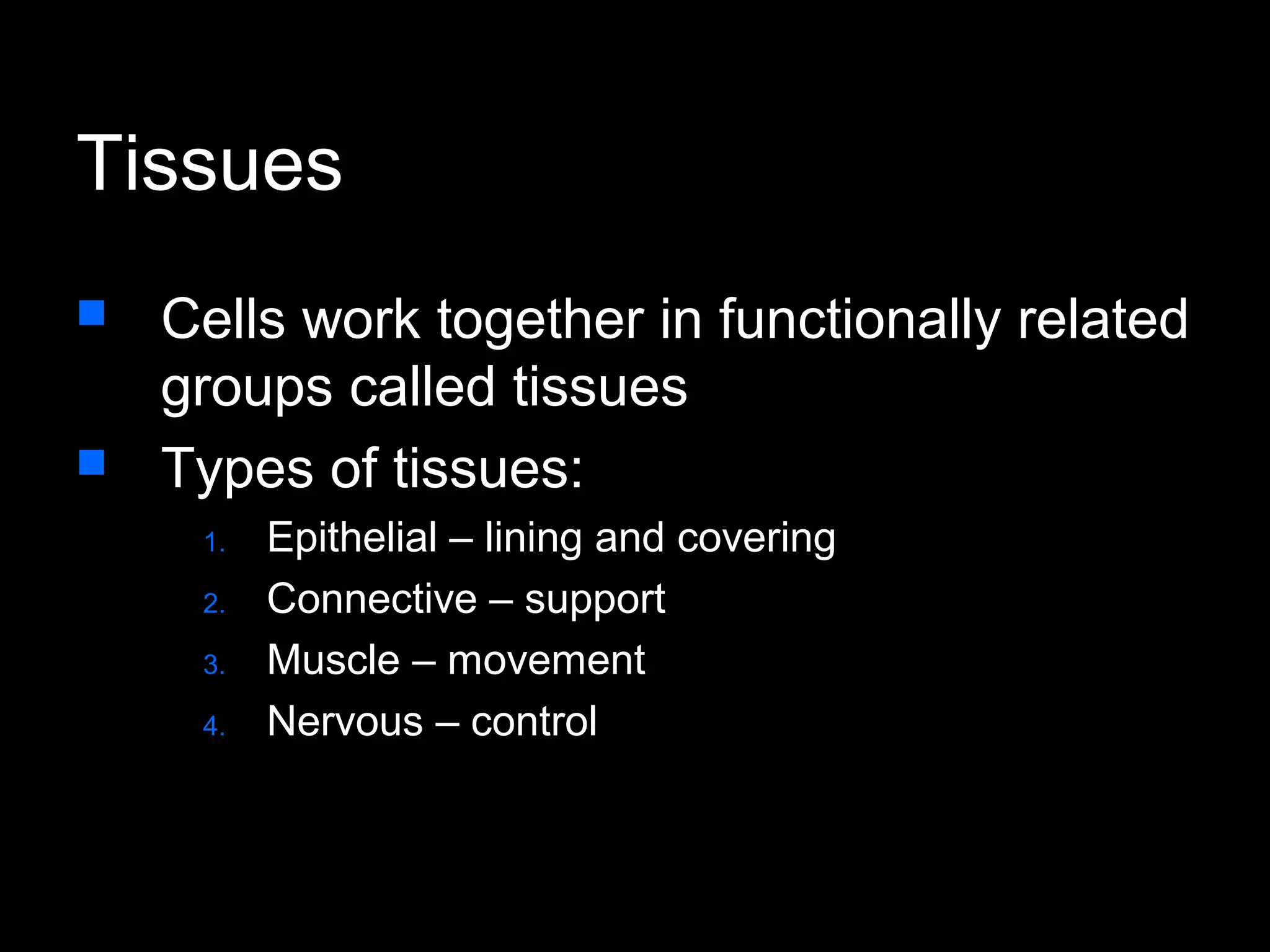 Histology 1 fro medicine and science student | PPT
