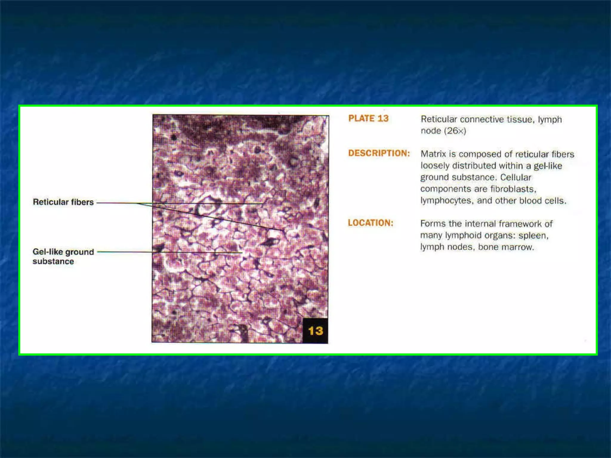 Histology | PPT