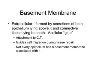 Histology | PPT