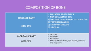 Types of Bone cells | PPTX