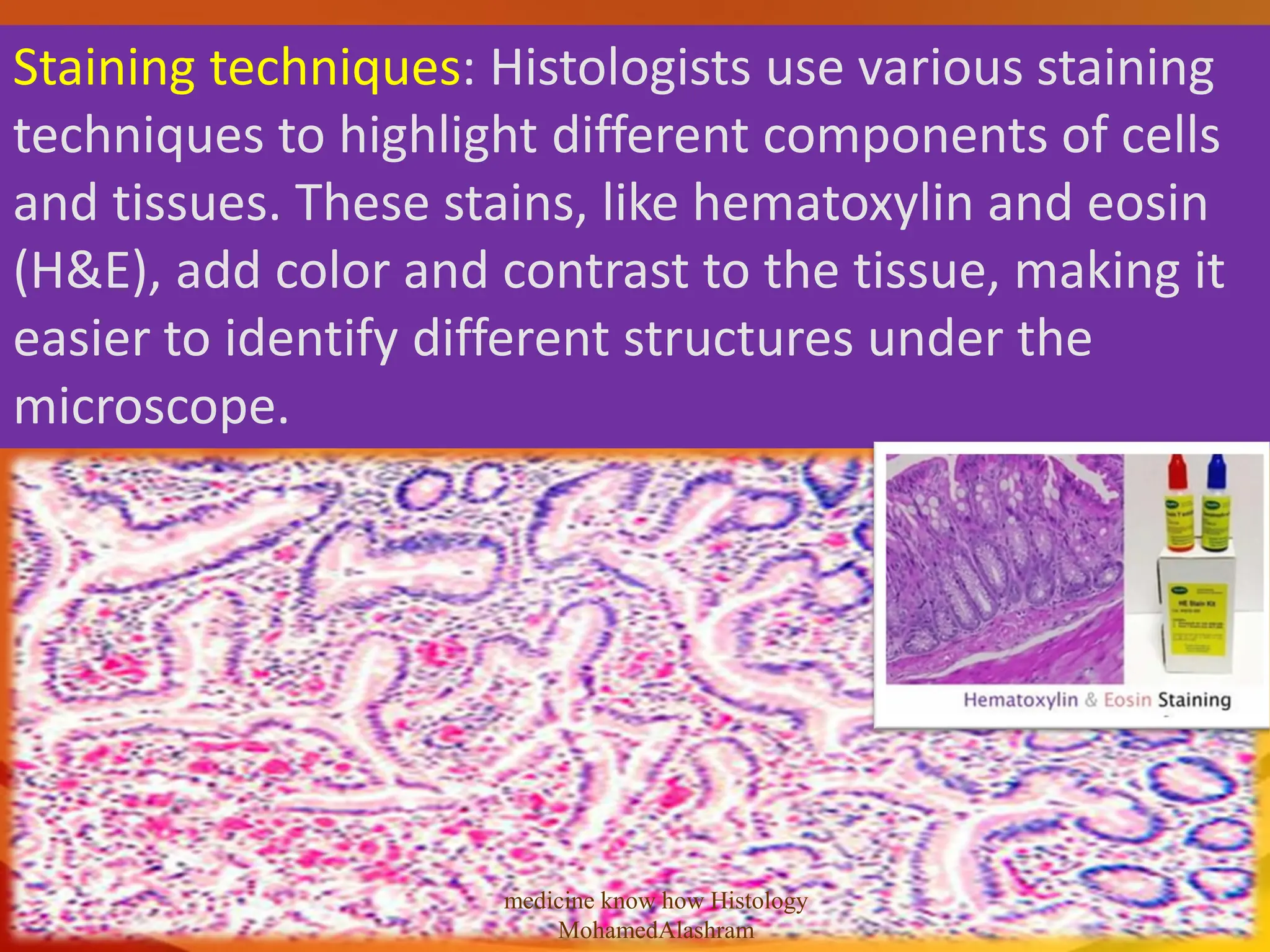 histology.pdf