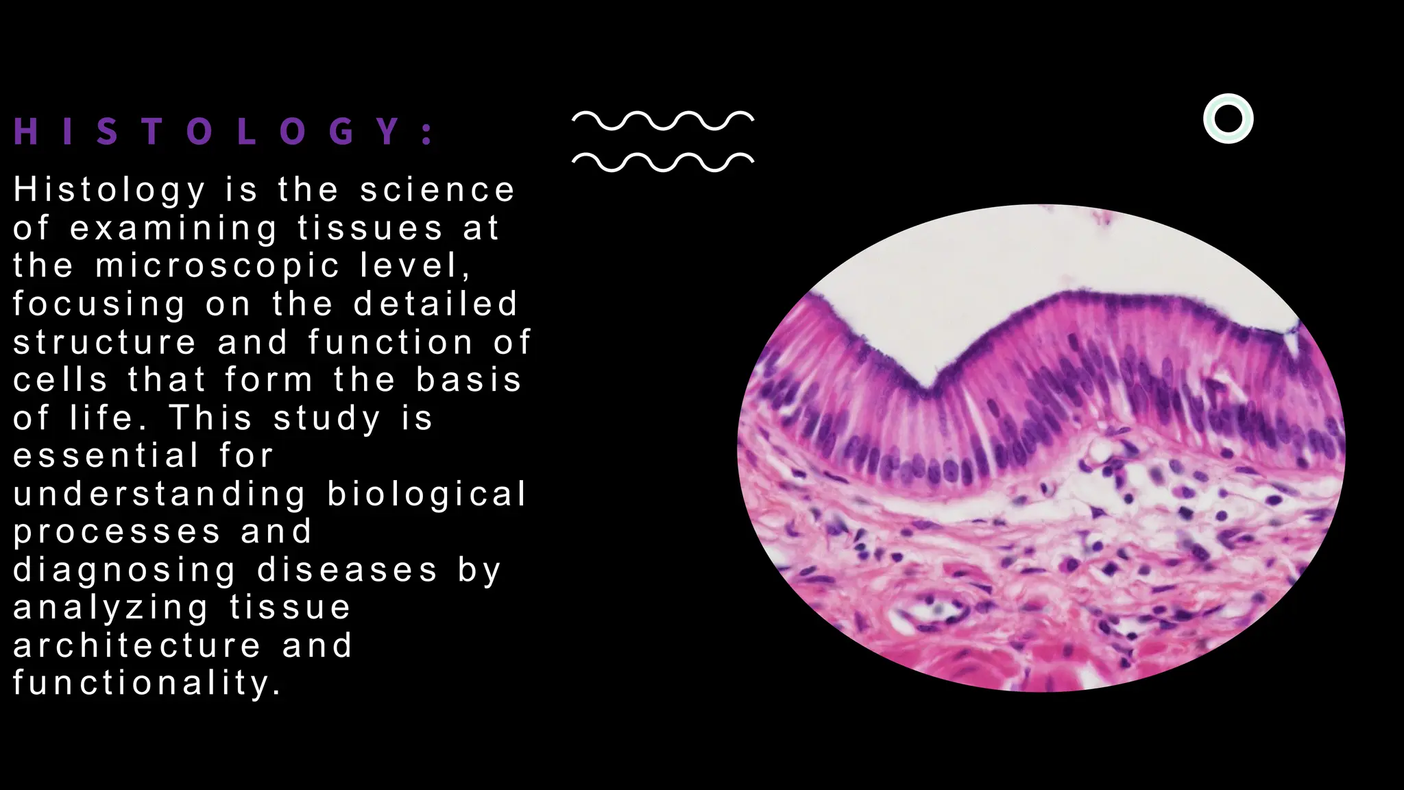 HISTOLOGY.pdf All the technique explained | PDF