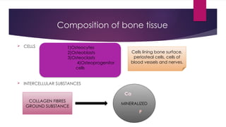 histology of bone for an optometry student ug reference | PPTX