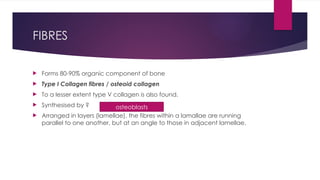 histology of bone for an optometry student ug reference | PPTX
