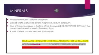 histology of bone for an optometry student ug reference | PPTX