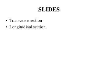 Histology - bone.pptx