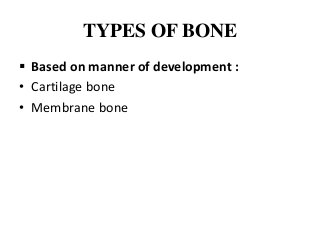 Histology - bone.pptx
